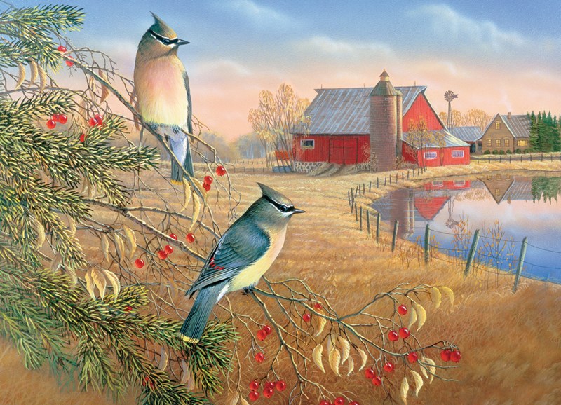 Cobble Hill (80189) - Sam Timm: "Cedar Waxwings" - 1000 Teile Puzzle